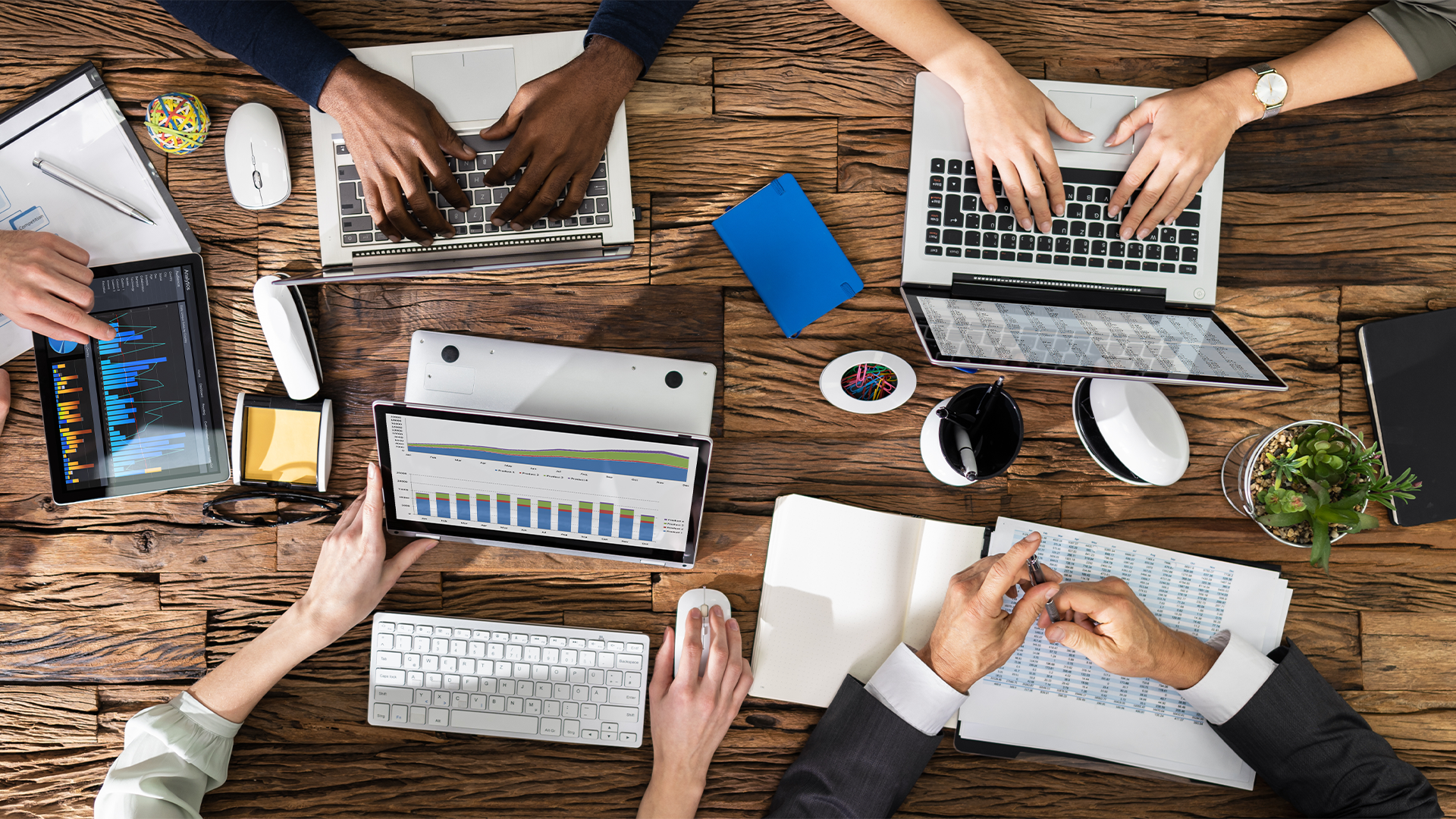 How to Analyze Data: A Step-by-Step Guide